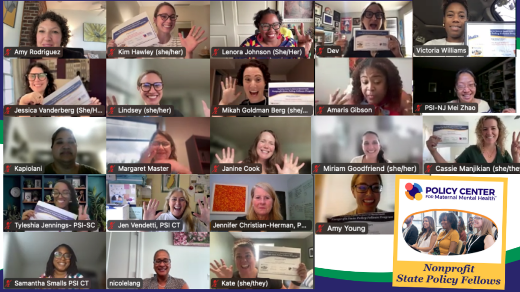 Nonprofit State Policy Fellows Graduate - Policy Center for Maternal ...
