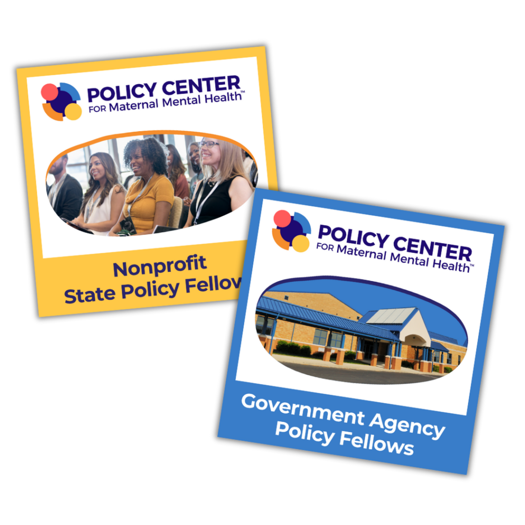 Past Projects - Policy Center for Maternal Mental Health