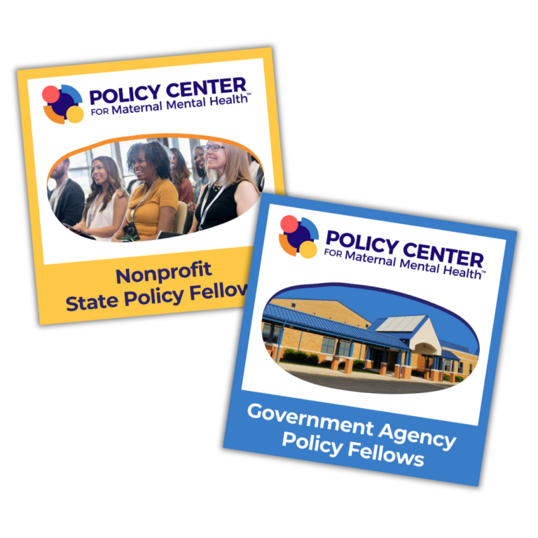State Policy Fellows Program (2020–2025) - Policy Center for Maternal ...